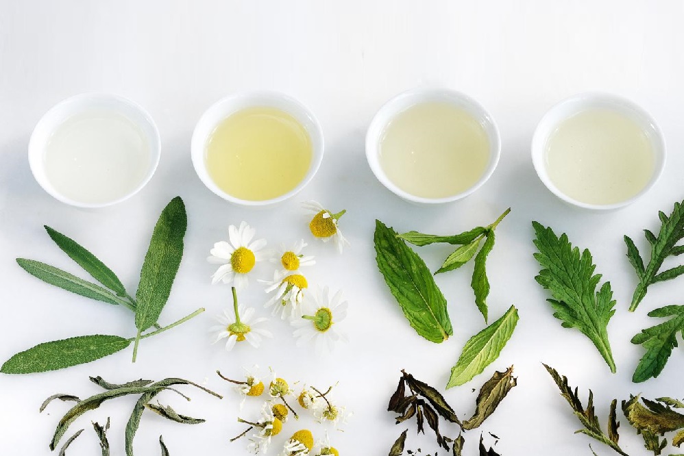 Les 5 meilleurs livres pour faire des tisanes