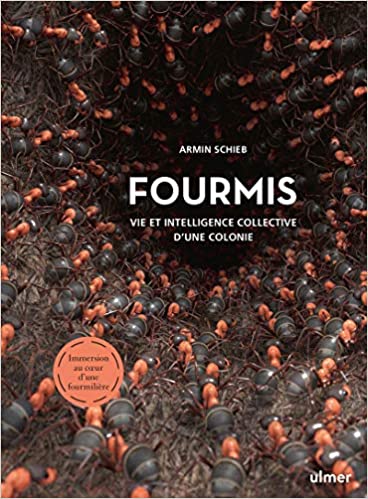 8 beaux livres sur les fourmis et leur organisation si complexe