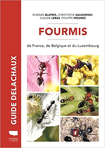 8 beaux livres sur les fourmis et leur organisation si complexe
