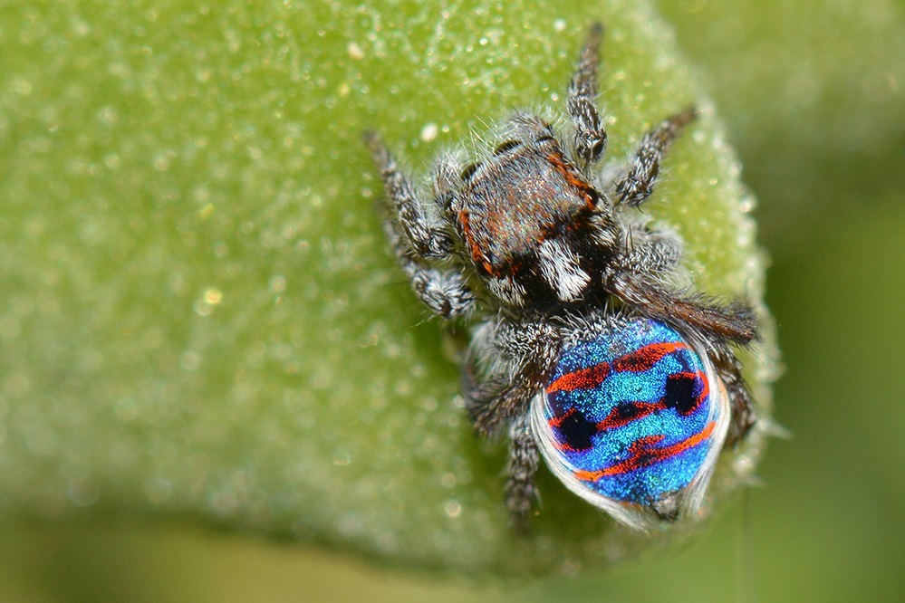 Les 5 meilleurs livres de biophysique
