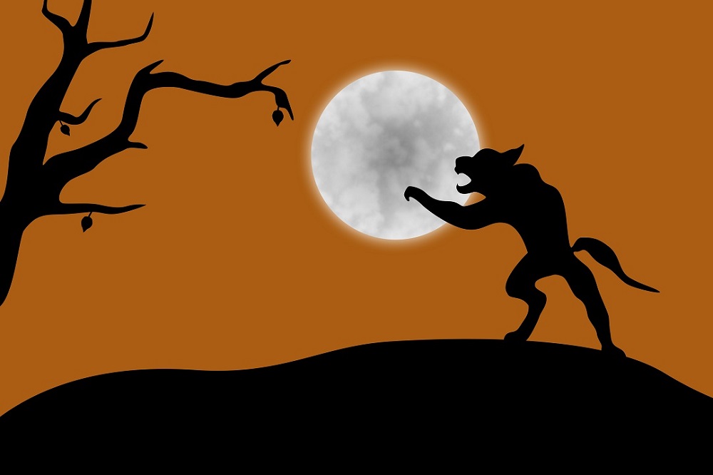 Les 5 meilleurs livres de loup-garou