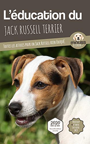 5 livres pour éduquer son Jack Russell sur de bonnes bases