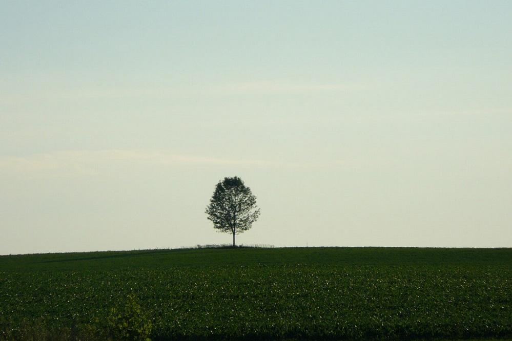 Les 5 meilleurs livres sur la solitude