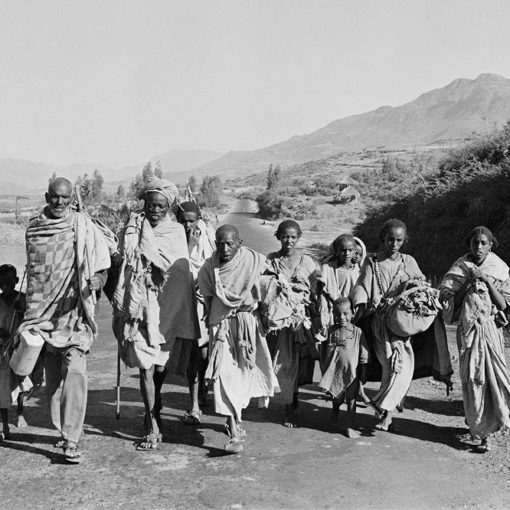 Les 5 meilleurs livres sur l'histoire de l'Afrique - 5livres