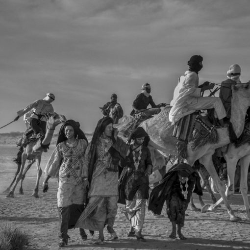 Les 5 meilleurs livres sur Olympe de Gouges