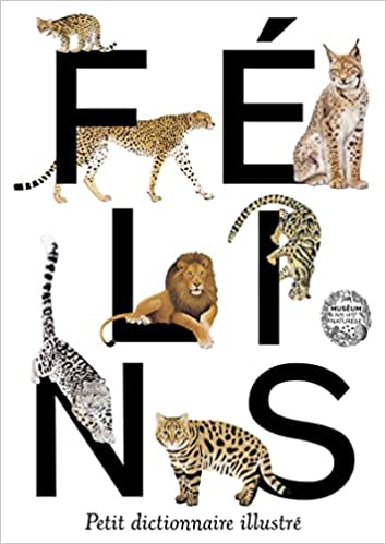 8 beaux livres sur les félins pour petits et grands