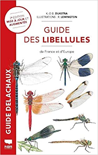 5 guides de référence pour identifier les libellules facilement sur le ...