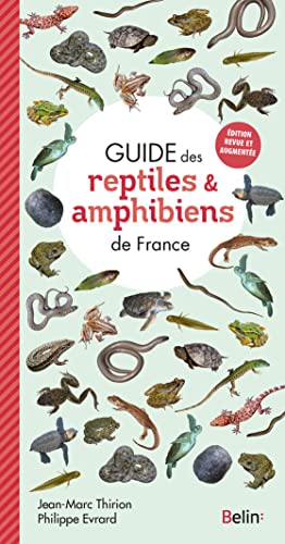 5 guides pour identifier reptiles et amphibiens sur le terrain