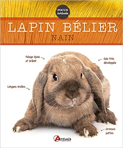 10 super livres pour élever un lapin ou un lapin nain sur de bonnes bases