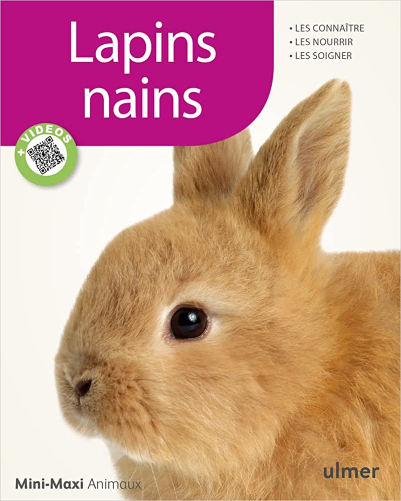 10 super livres pour élever un lapin ou un lapin nain sur de bonnes bases