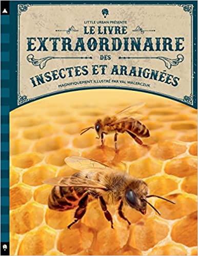 8 super livres sur les insectes pour la jeunesse