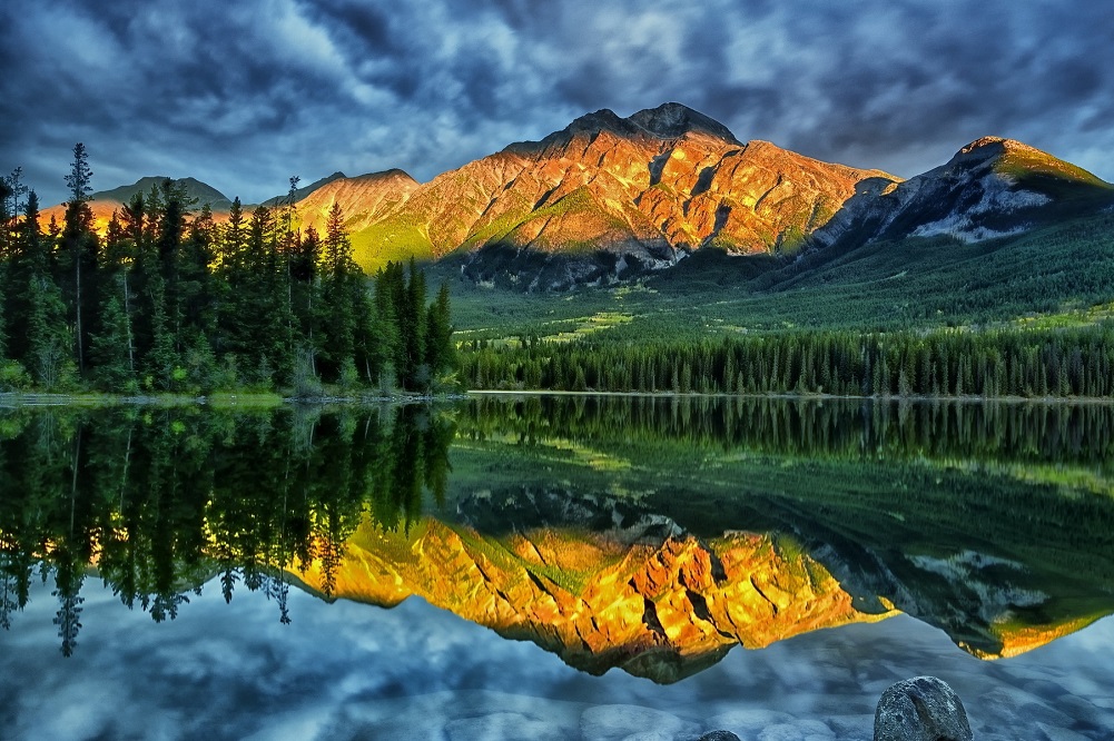 Les 5 meilleurs livres de grands espaces (nature writing)