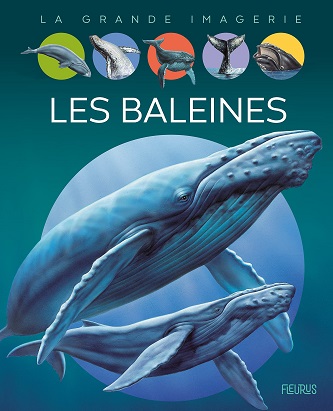 9 livres passionnants sur les baleines et les cétacés pour petits et grands