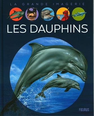 6 beaux livres sur les dauphins pour petits et grands