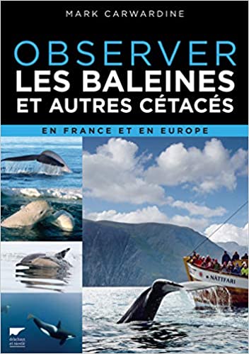 9 livres passionnants sur les baleines et les cétacés pour petits et grands