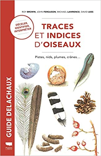 5 guides de référence pour identifier les plumes d'oiseaux facilement