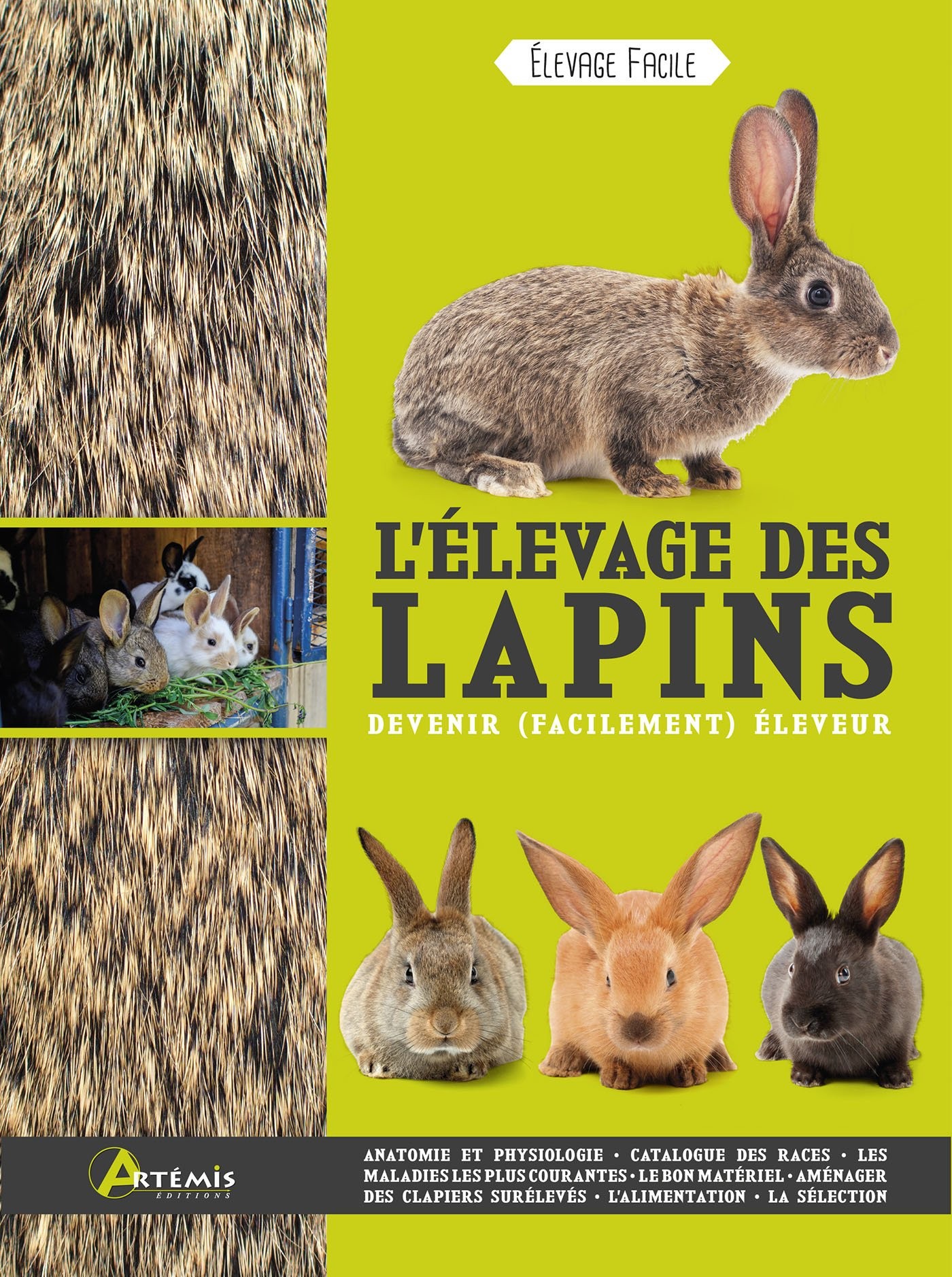 Les 5 meilleurs livres sur les lapins - 5livres