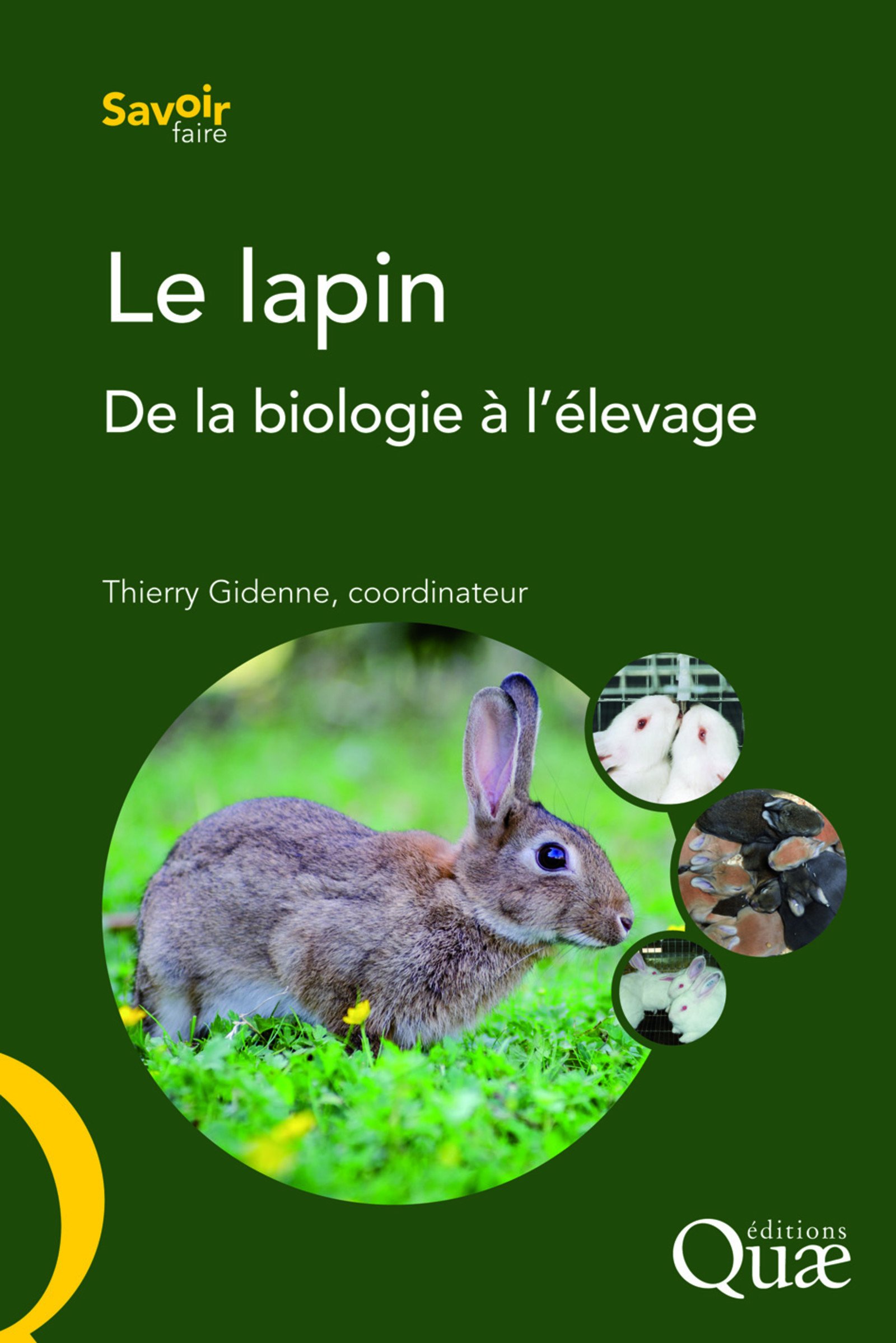 10 super livres pour élever un lapin ou un lapin nain sur de bonnes bases