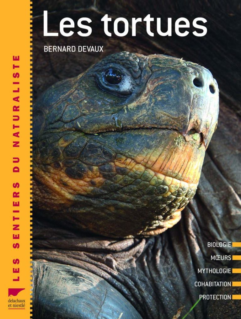 8 livres pour tout savoir sur les tortues