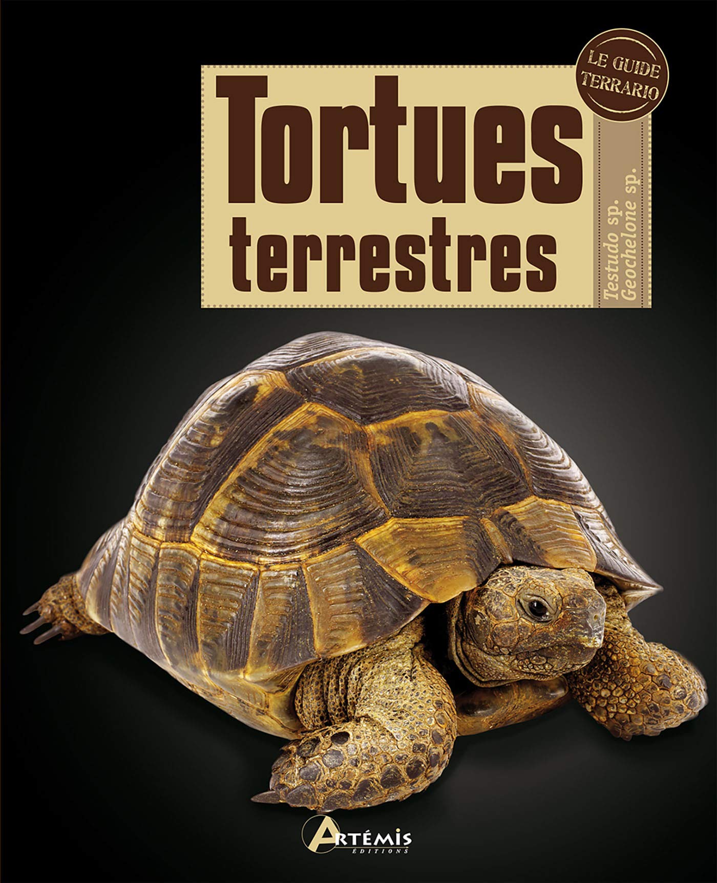 7 super livres pour élever ses tortues sur de bonnes bases