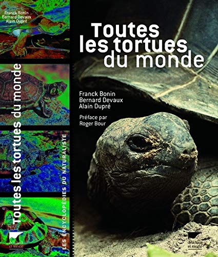 8 beaux livres pour tout savoir sur les tortues
