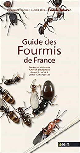 8 beaux livres sur les fourmis et leur organisation si complexe