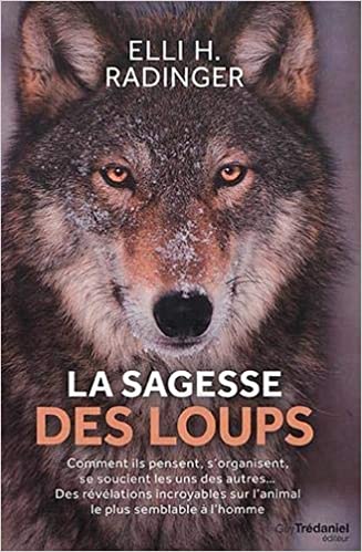 9 beaux livres sur les loups et leur monde si mystérieux