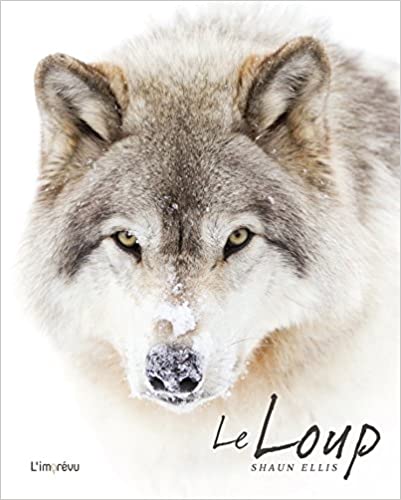 Les 5 meilleurs livres sur les loups - 5livres.fr