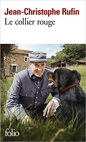 Les 5 meilleurs livres de Jean-Christophe Rufin