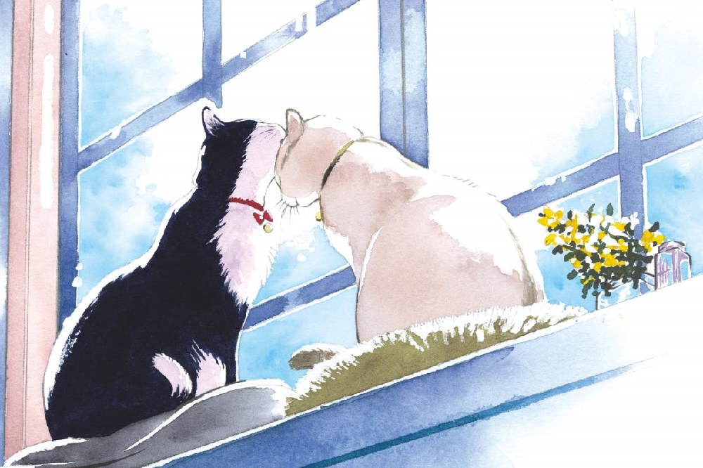 Chats – Notre sélection de 23 mangas