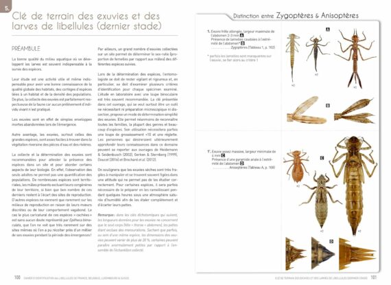 5 guides de référence pour identifier les libellules facilement sur le ...