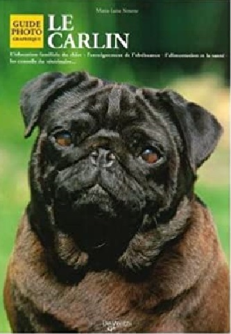 5 livres pour éduquer son Carlin sur de bonnes bases