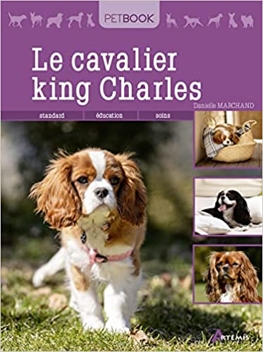 5 livres pour éduquer son Cavalier King Charles sur de bonnes bases