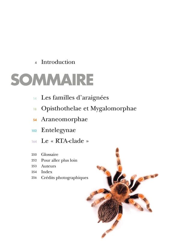 6 guides de référence pour identifier les araignées et autres arachnides