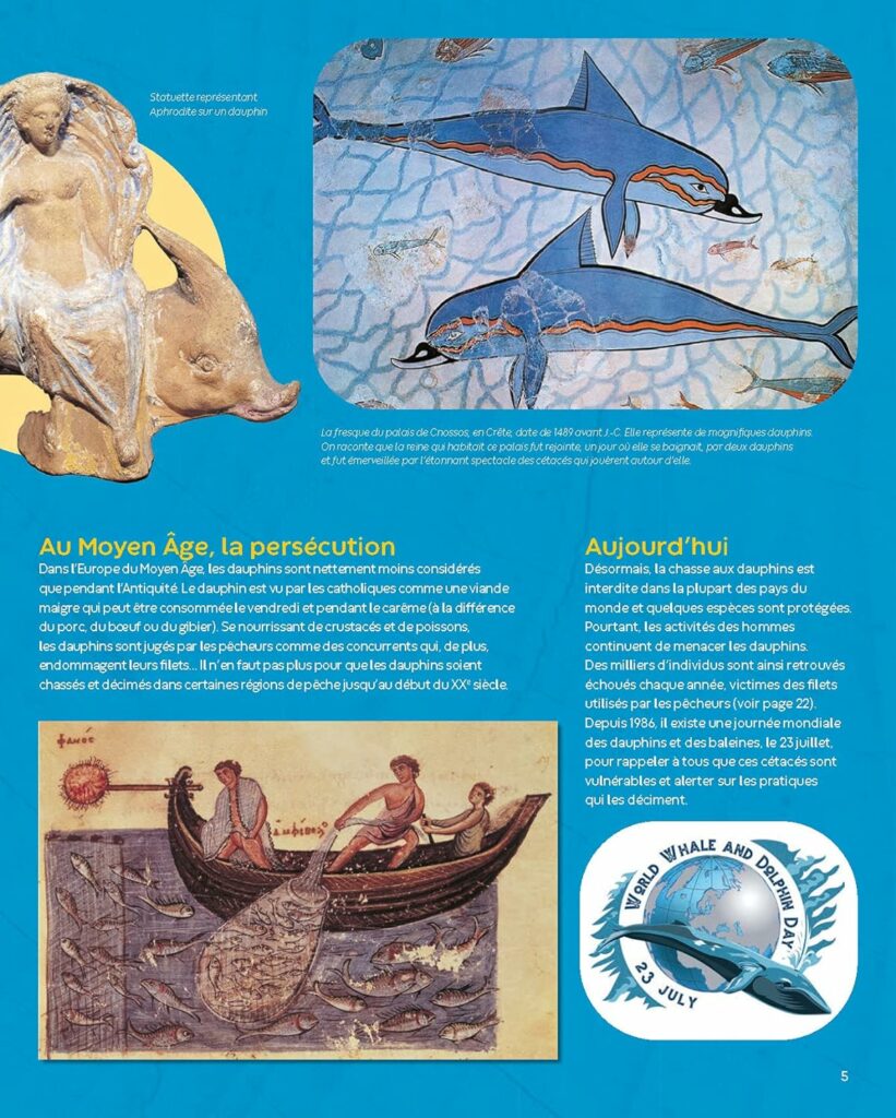 6 beaux livres sur les dauphins pour petits et grands