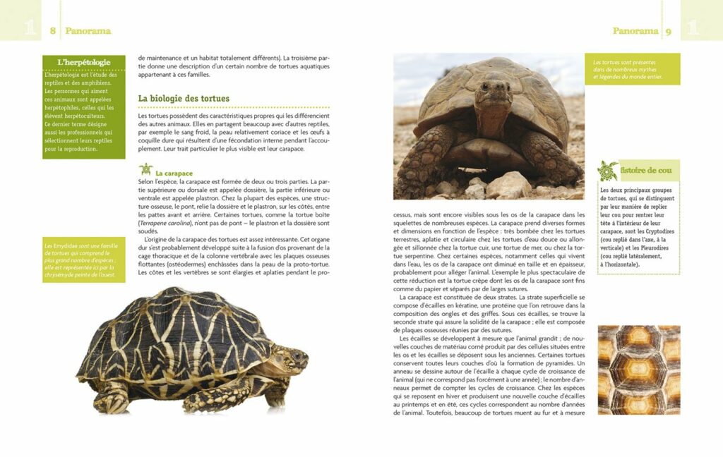 7 super livres pour élever ses tortues sur de bonnes bases