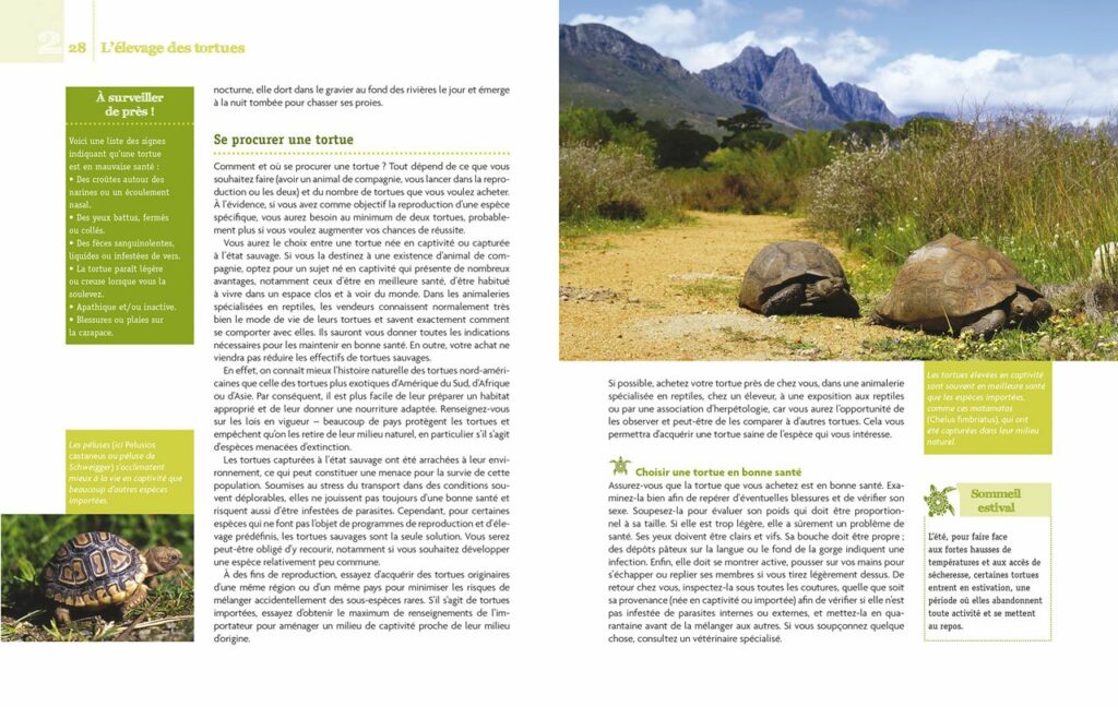 7 super livres pour élever ses tortues sur de bonnes bases