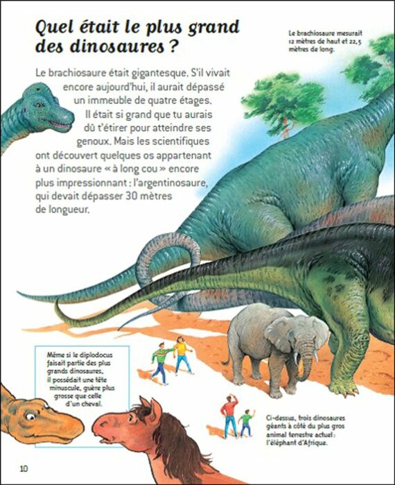 13 super livres sur les dinosaures pour la jeunesse