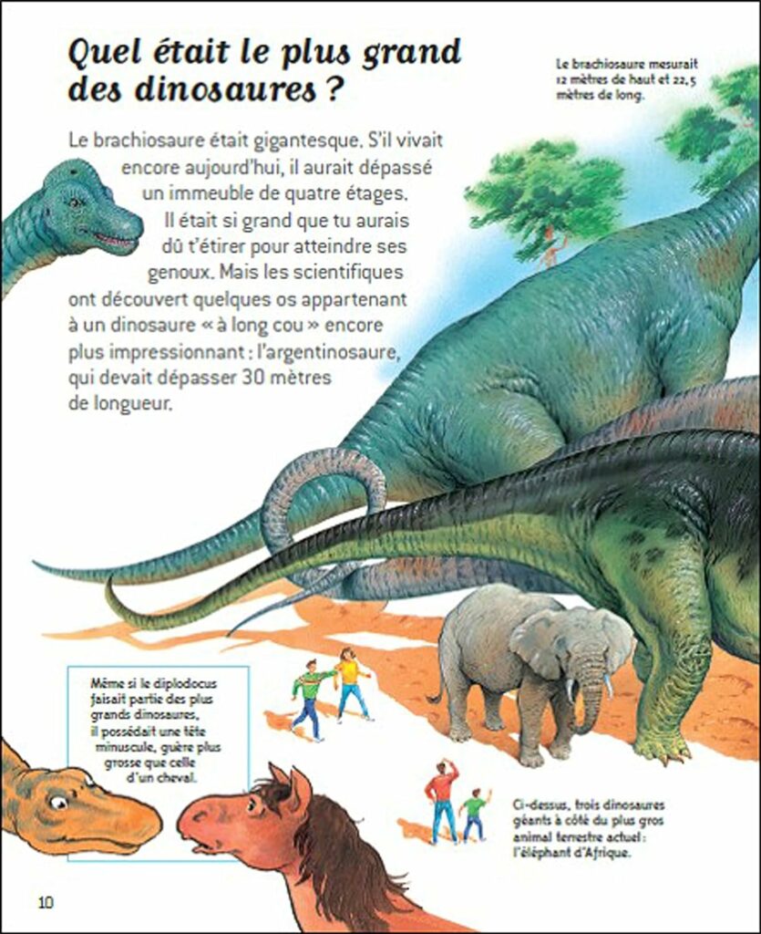 13 super livres sur les dinosaures pour la jeunesse