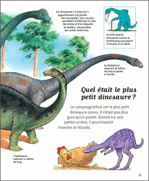 13 super livres sur les dinosaures pour la jeunesse