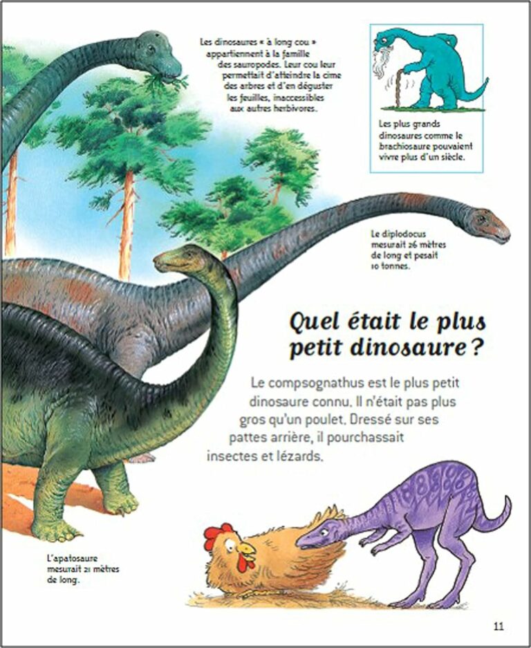 13 super livres sur les dinosaures pour la jeunesse