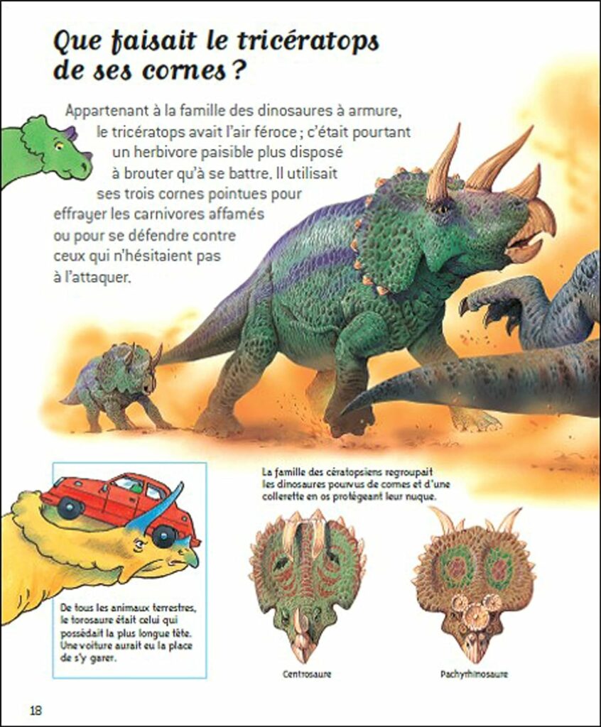 13 super livres sur les dinosaures pour la jeunesse