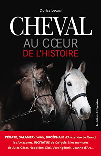 7 beaux livres sur les chevaux du monde entier