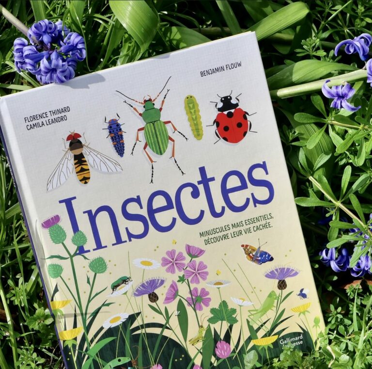 8 super livres sur les insectes pour la jeunesse