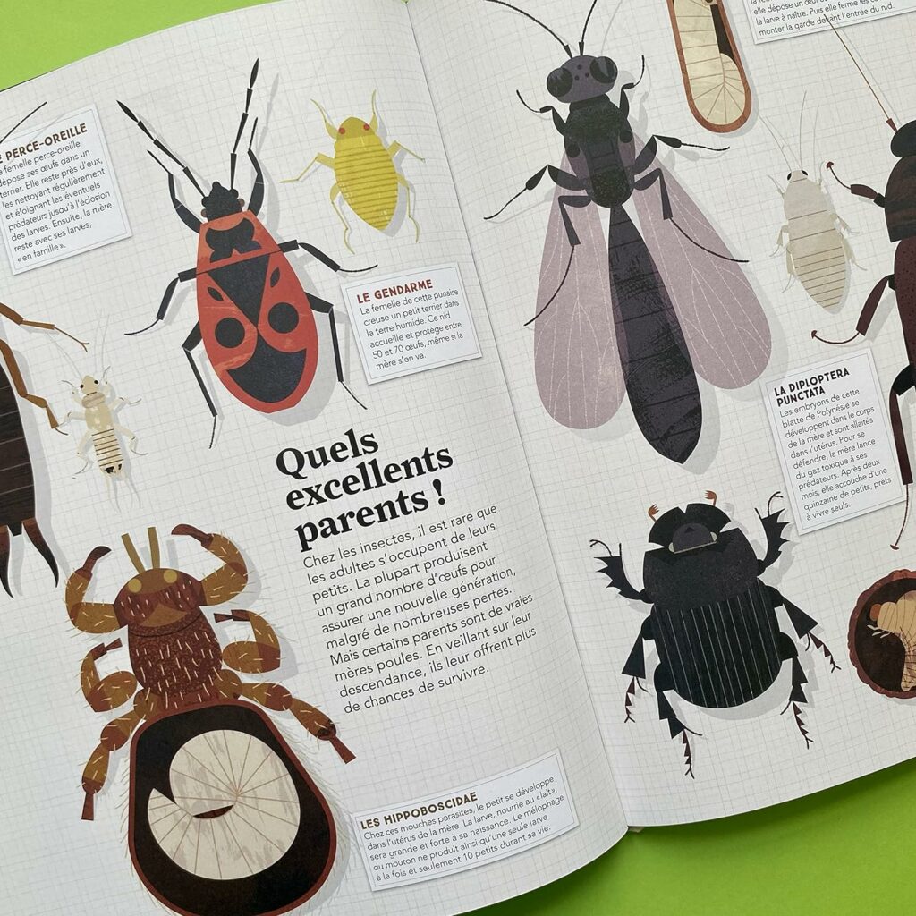 8 super livres sur les insectes pour la jeunesse