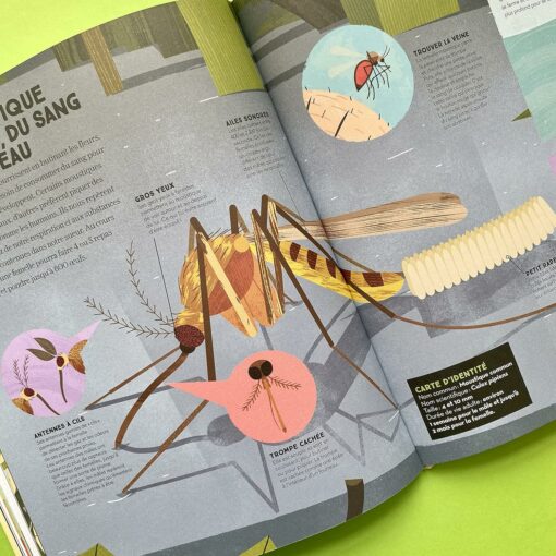 8 super livres sur les insectes pour la jeunesse