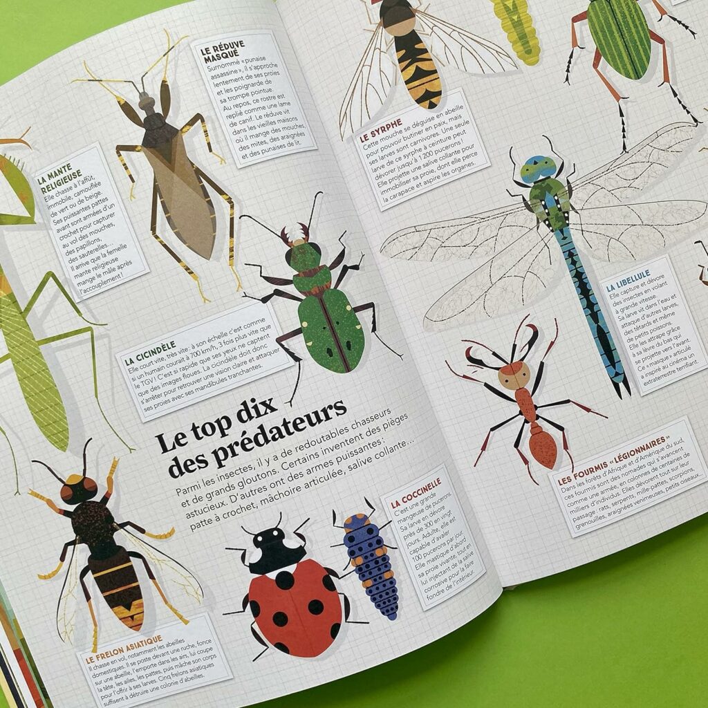 8 super livres sur les insectes pour la jeunesse