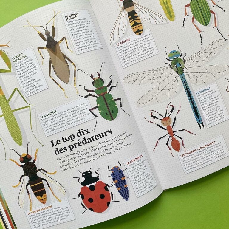 8 super livres sur les insectes pour la jeunesse