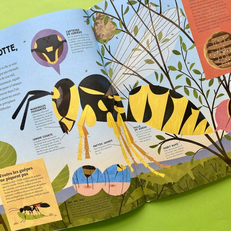 8 super livres sur les insectes pour la jeunesse