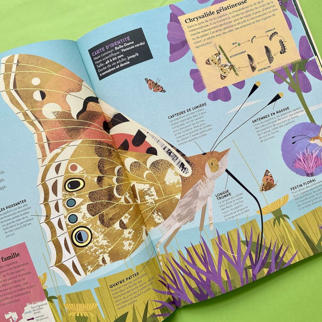 8 super livres sur les insectes pour la jeunesse
